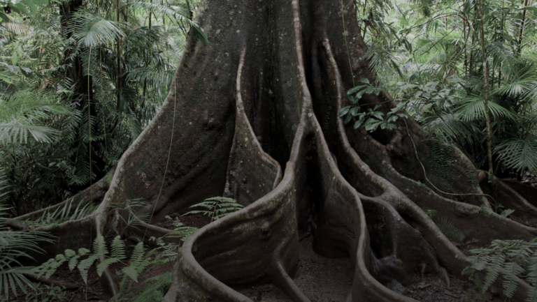 Trilliad, a Growth Services Provider | B2B Marketing, Sales & Service ...