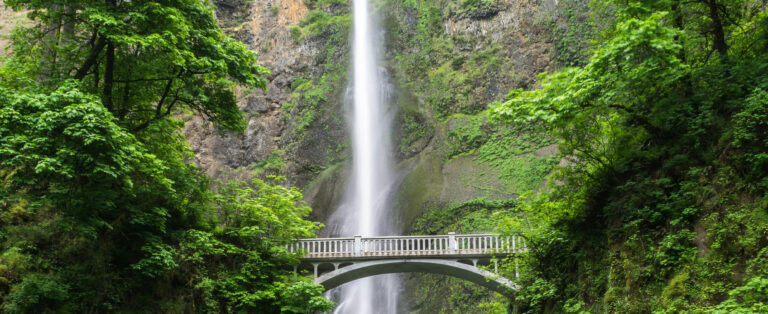 Trilliad, a Growth Services Provider | B2B Marketing, Sales & Service Solutions