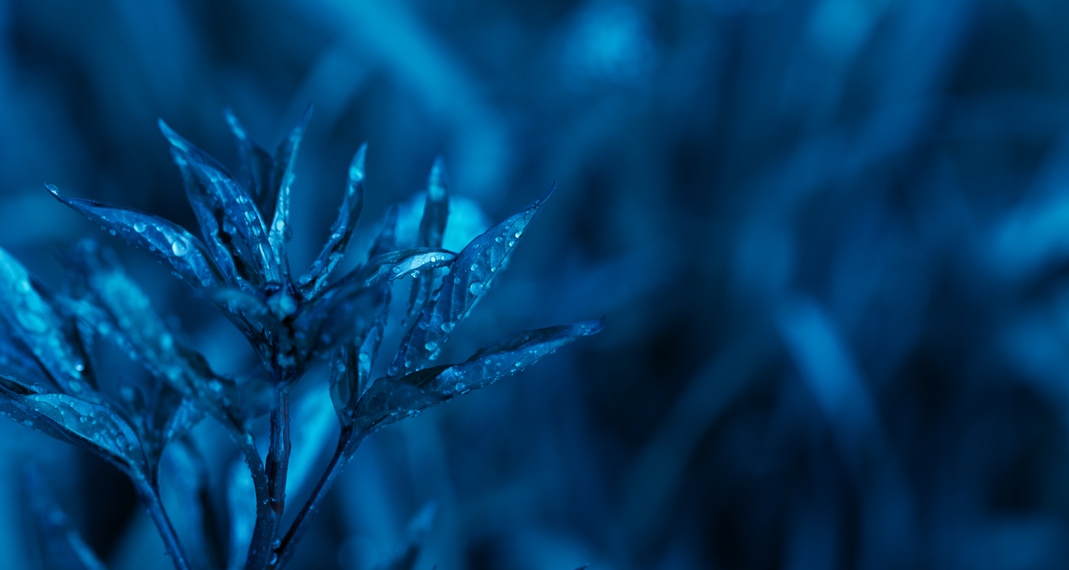 Trilliad, a Growth Services Provider | B2B Marketing, Sales & Service ...